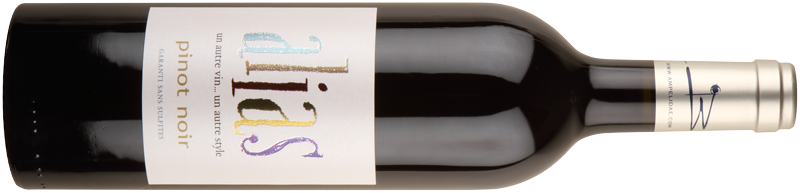 Everything You Need to Know About Pinot Noir Wine | Vintage Roots