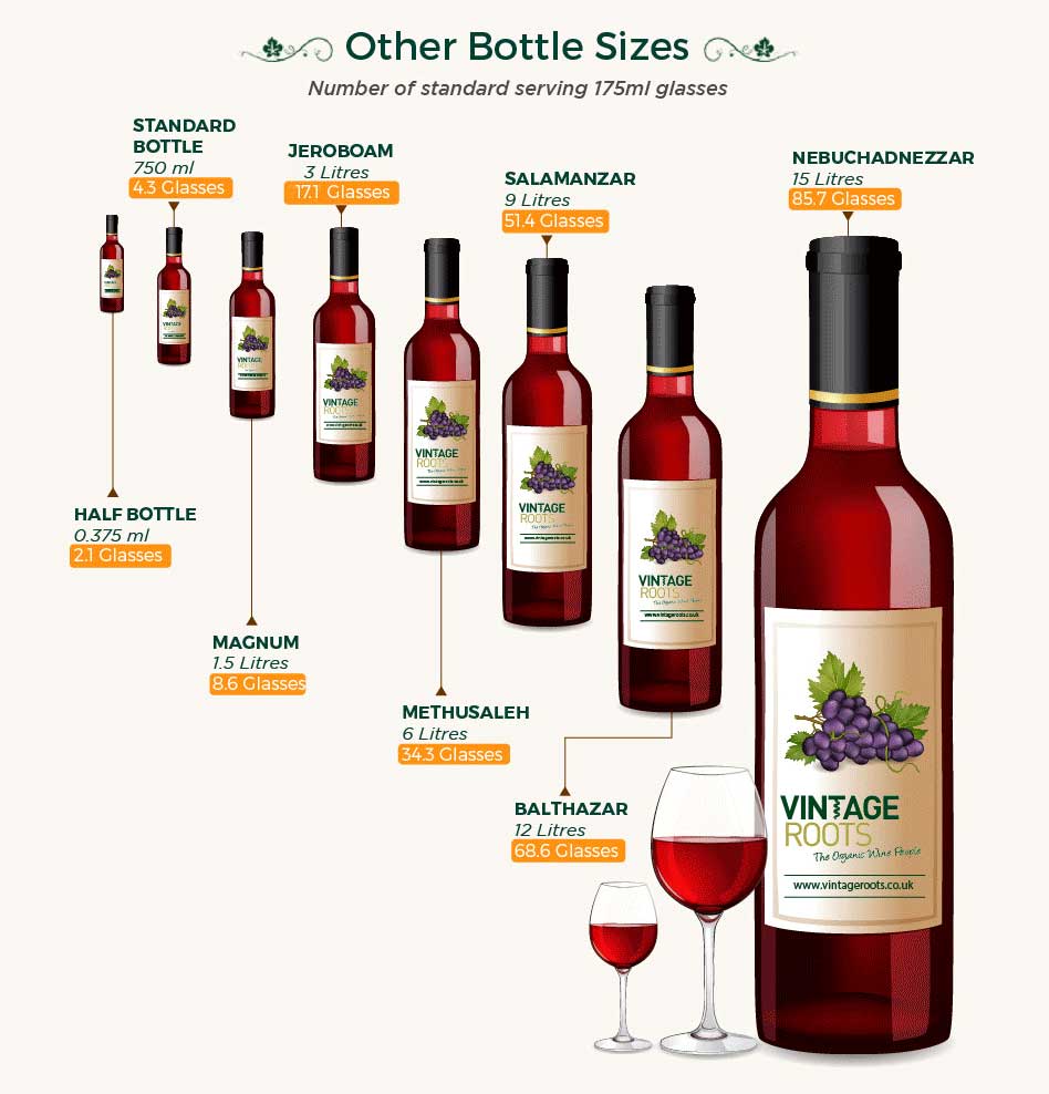 Wine Bottle Sizes: A Complete Guide - Vintage Roots
