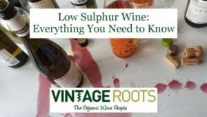 Low Sulphur Wine: A Guide to Low Sulphite Wine